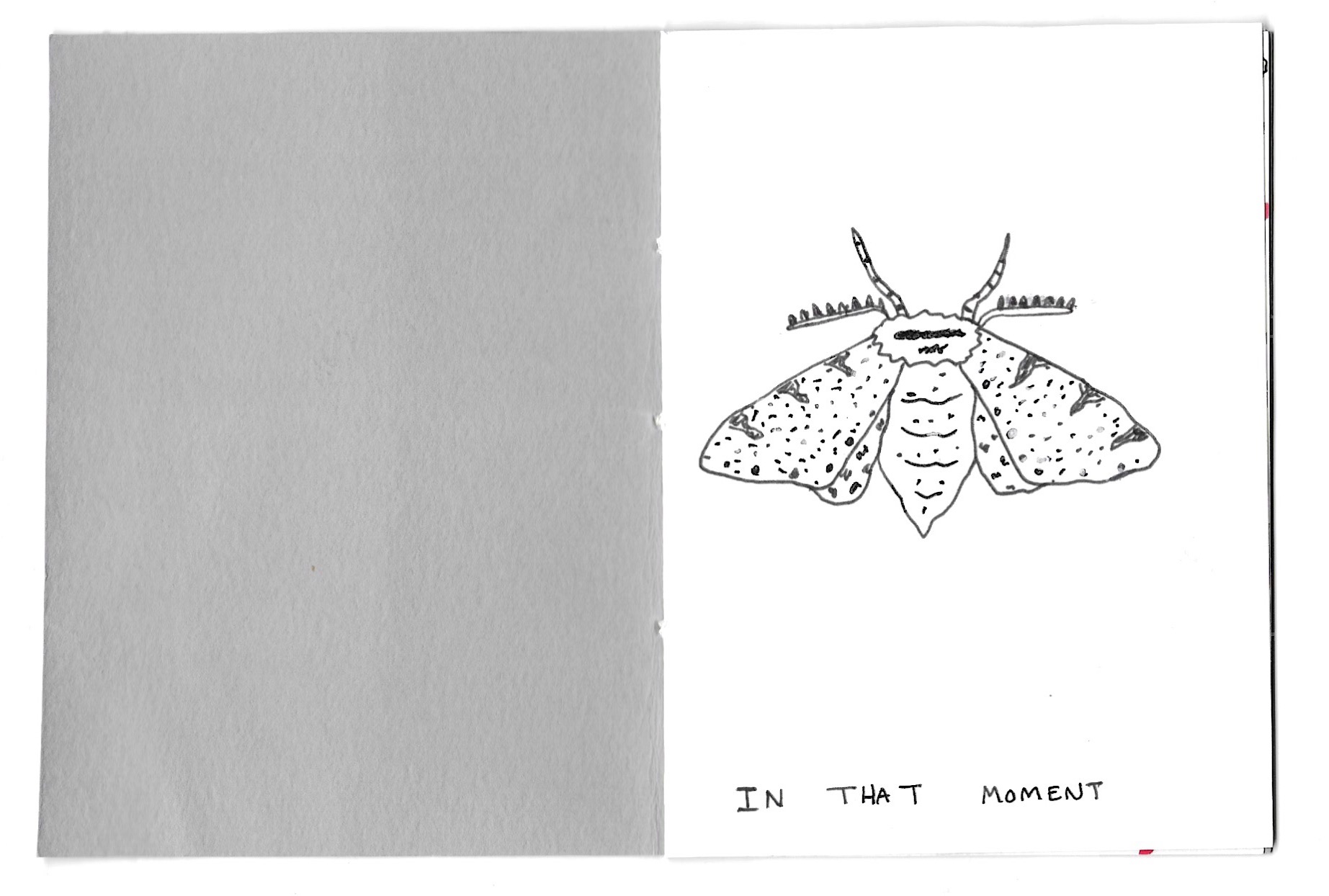 Visual Narrative Developmental Work