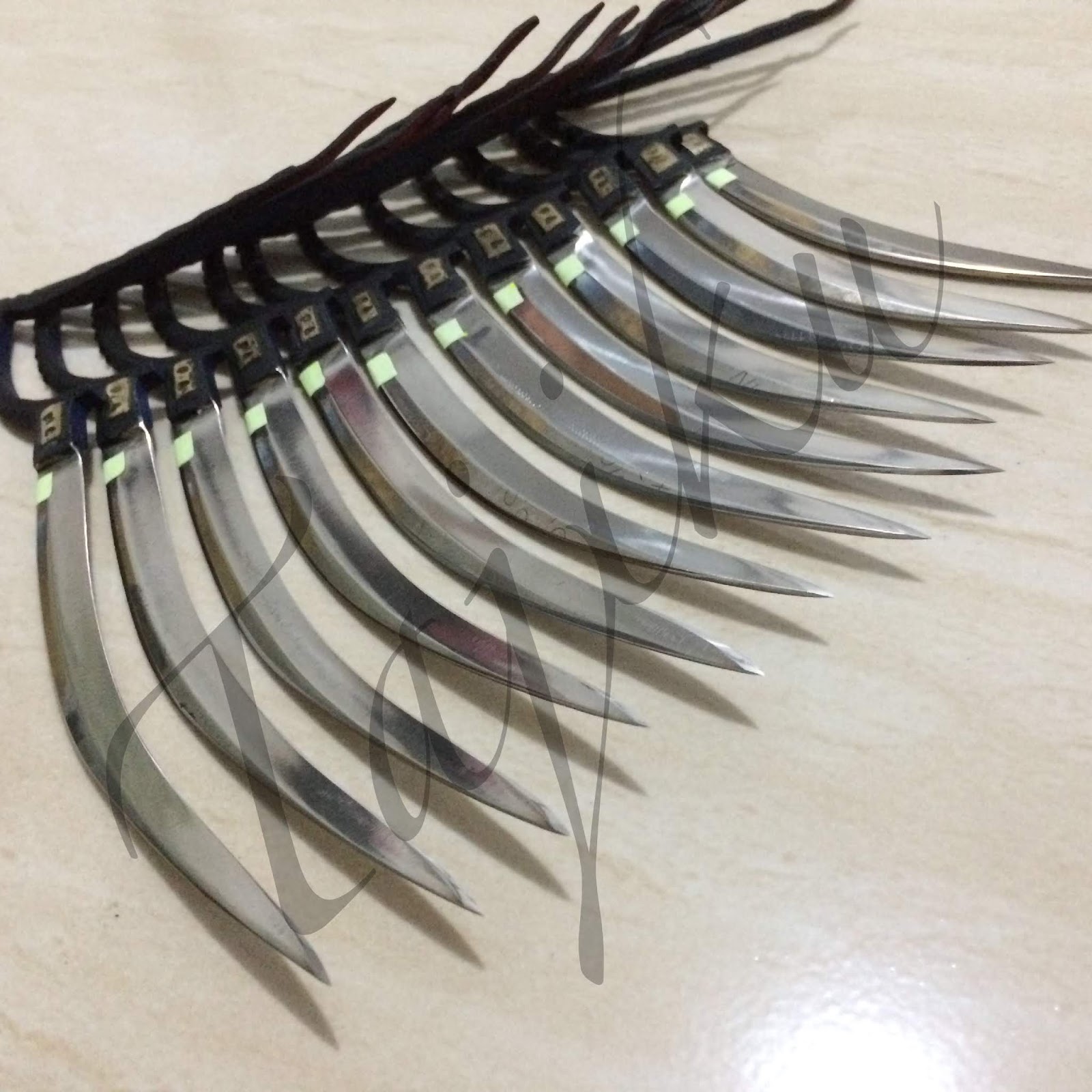 TAJIKU - TAJI AYAM FILIPINA: Model Taji Ayam