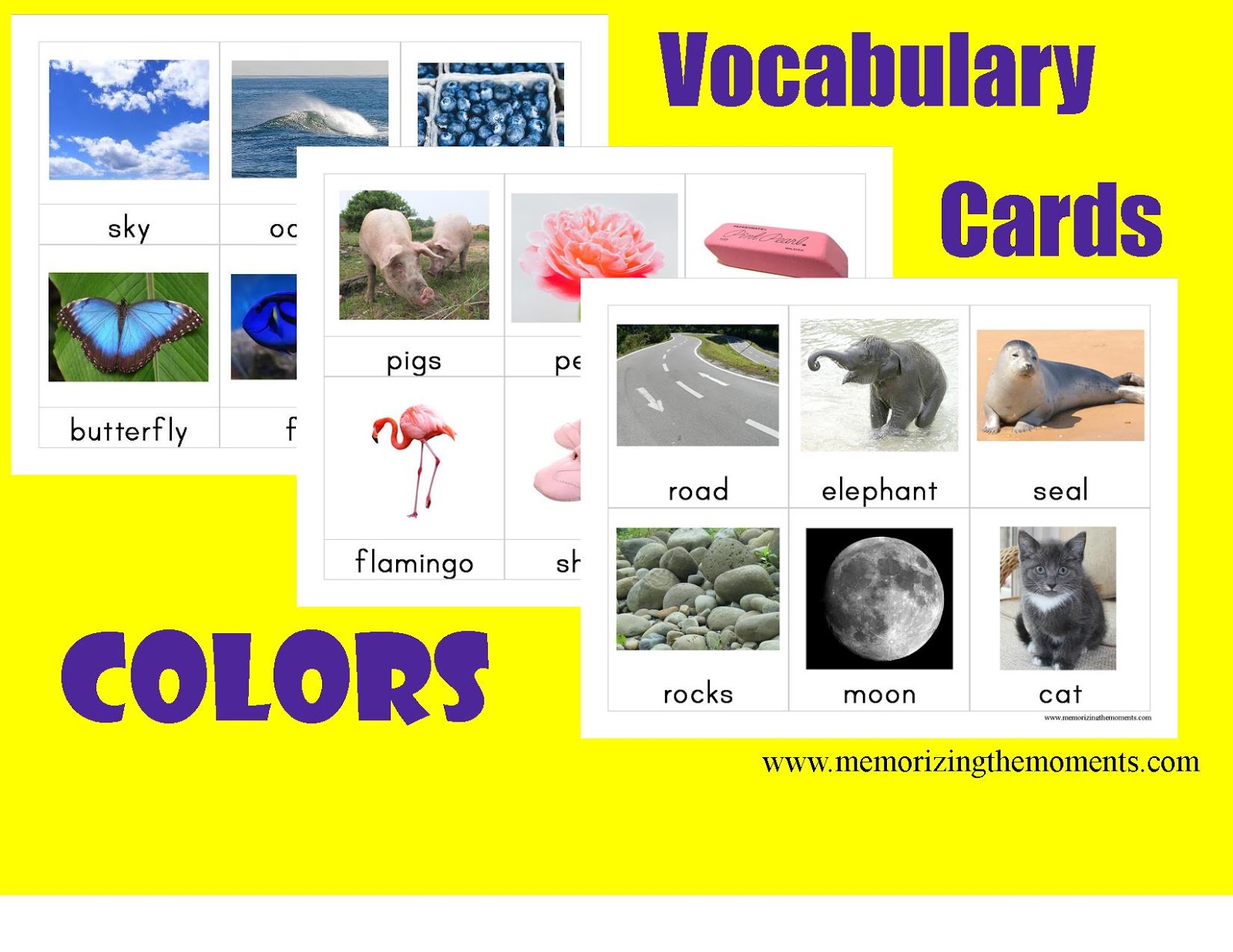Memorizing the Moments: Color Vocabulary 3 Part Cards