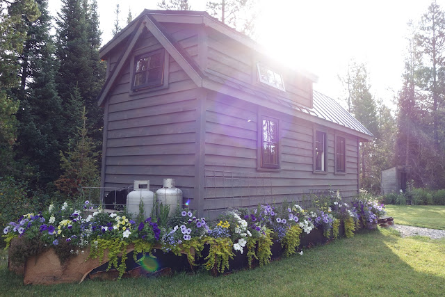 Fy Nyth...: House Photos