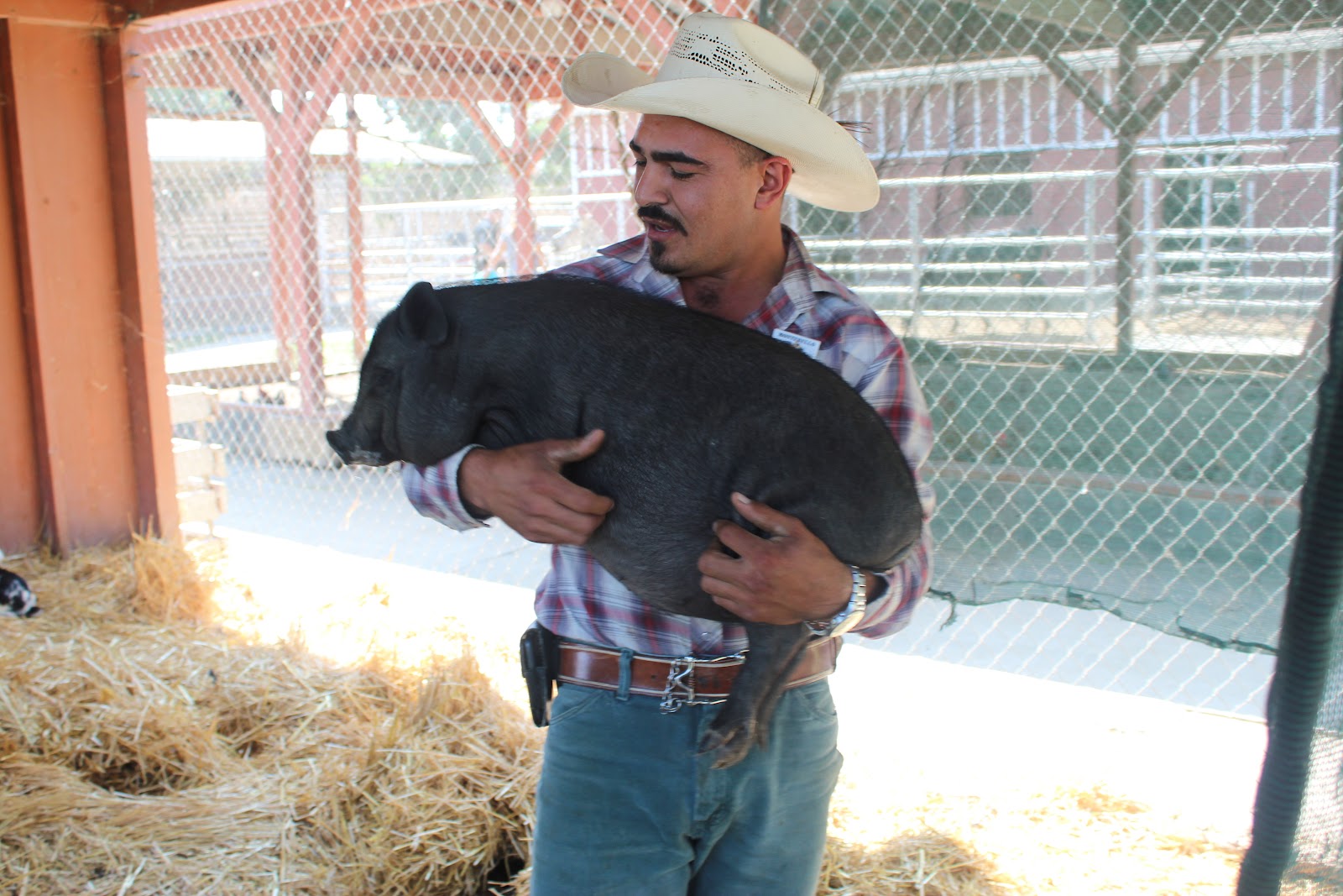 Montebello Barnyard Zoo