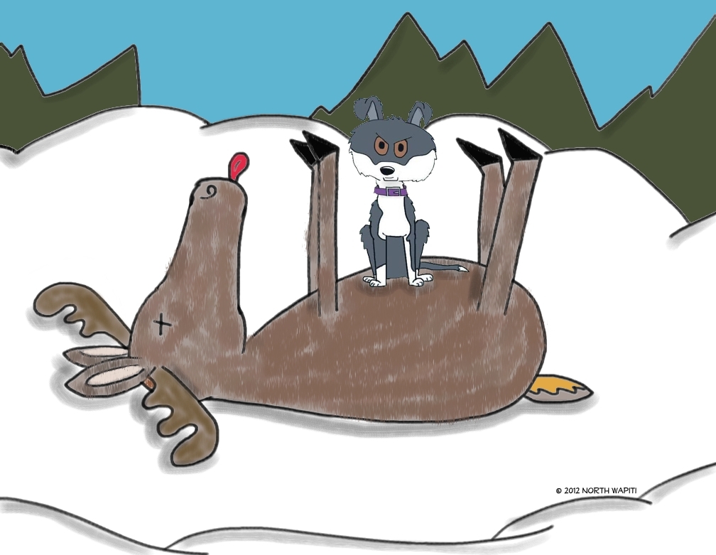 North Wapiti Blog: The FAMOUS Pretty Curly Tails - Bet