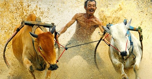 Inilah Teknik Freeze Untuk Membekukan Objek Bergerak - harga kamera di ...