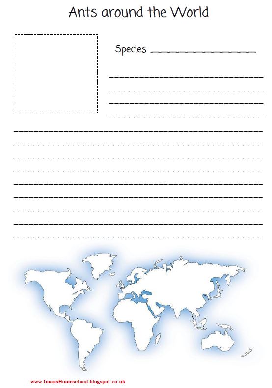 Iman's Home-School: Ant Activity Pack