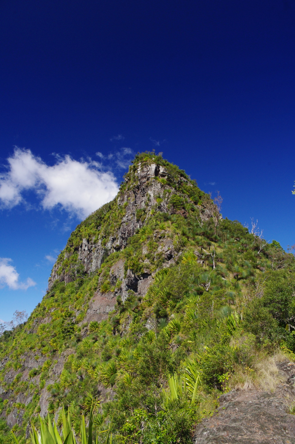 Hiking in S.E. Queensland: Mt. Cordeaux & Bare Rock