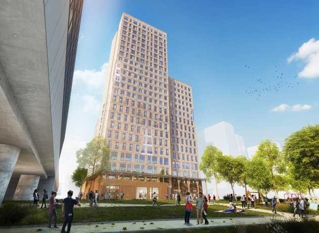 Motic Europe | Blog: Wood - a fascinating material