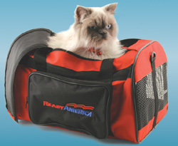 Preparedness | Root Simple