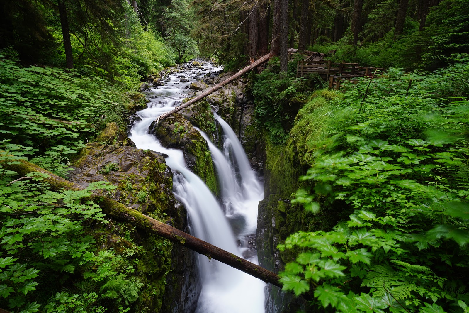 Sol Duc Falls - SesameTravel