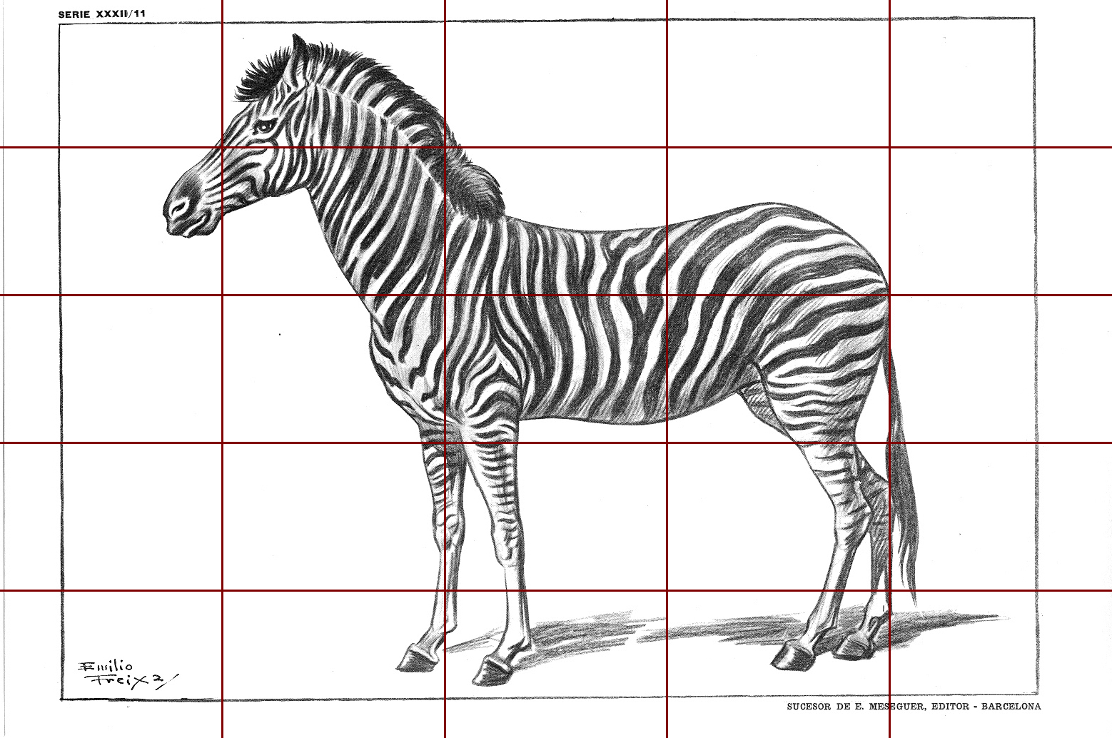 Malabar virtual: 1ºESO EPVA, UD.02: "De lo real a lo imaginario: animales"