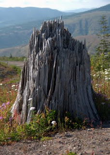 Geology 1403 - Physical Geology: Travels