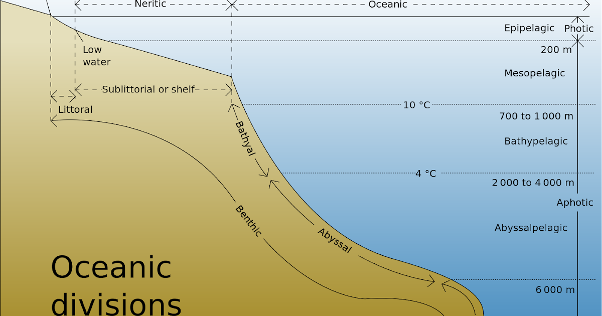 Learning Geology: Ocean basins