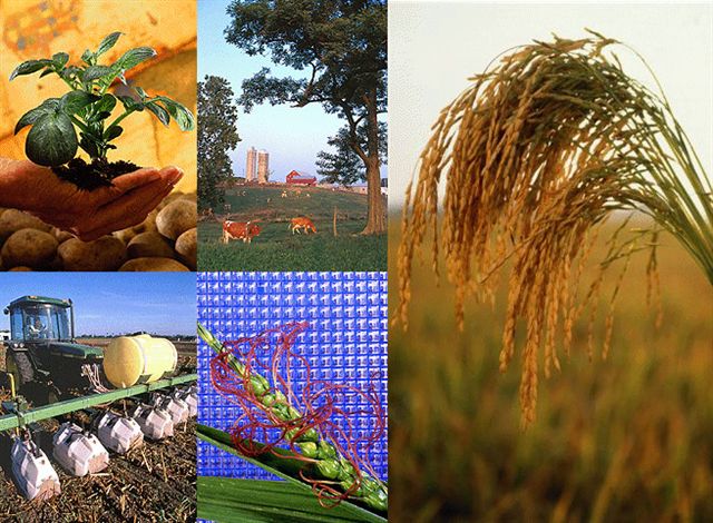 Agriculture: Agriculture Industry