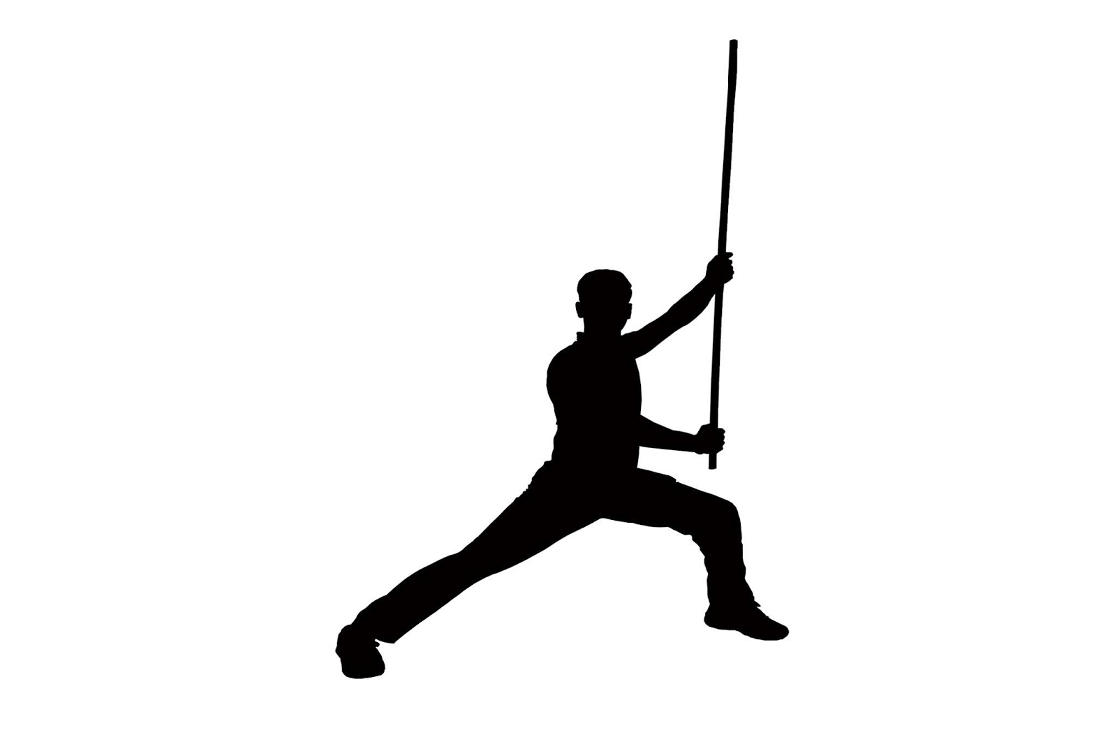 Panchabootha International Martial Arts Academy: Silambam Clipart , vector