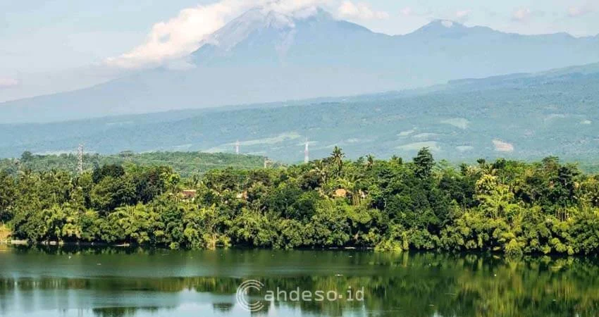 Wisata Ranu Pakis Lumajang, Surganya Pecinta Mancing - CAHDESO.ID ...