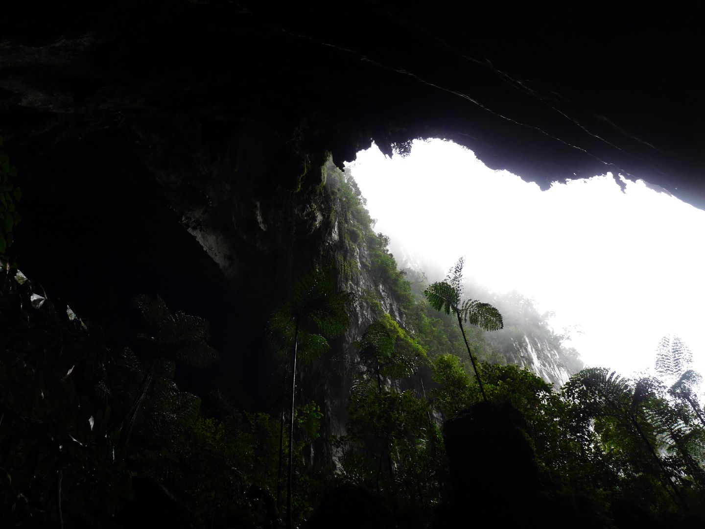 Taman Negara, Mulu | Beautiful Malaysia
