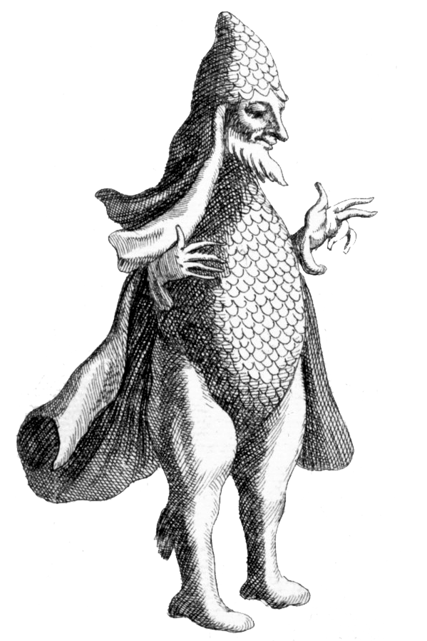 Real Mermaid Sightings: Some historical accounts of mermaids