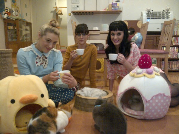 Catsparella: Katy Perry Tours Tokyo, Visits Cat Cafe While Doing So