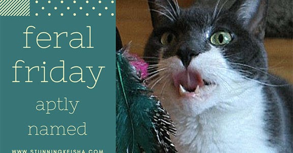 Aptly Named Feral Friday | Stunning Keisha
