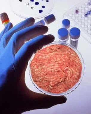 Anything: Midterm Assignment- "In-Vitro Meat"