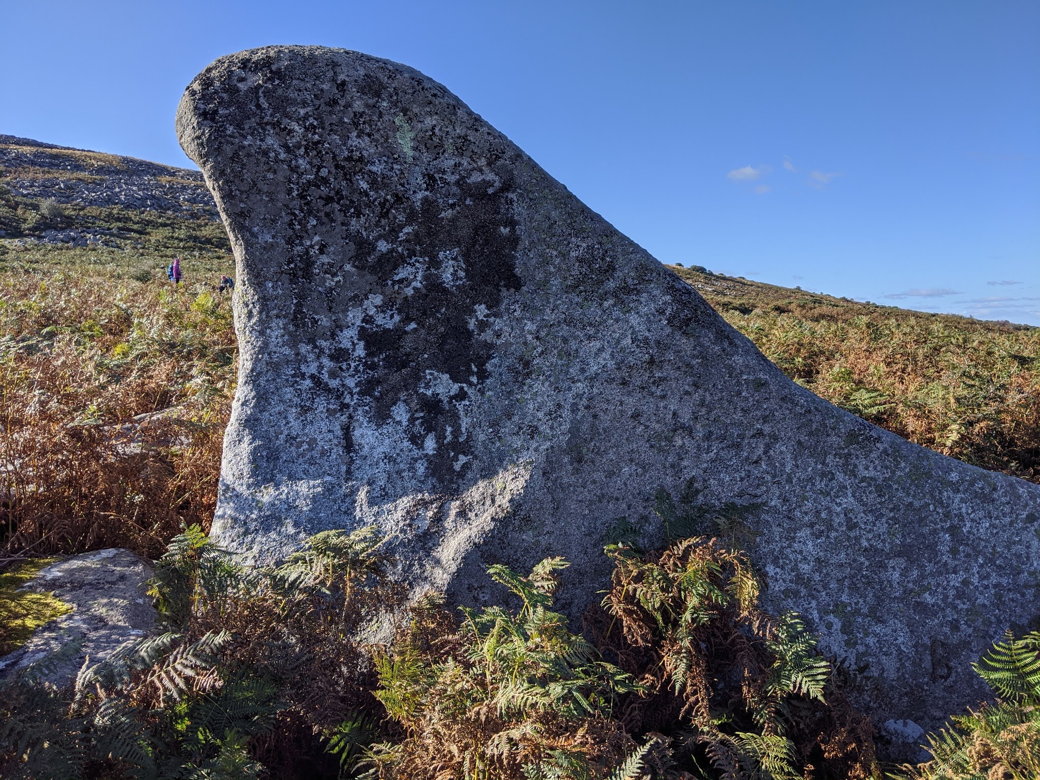 Max Piper - Tor Bagger: Dartmoor: Warren House Inn to Belstone ...