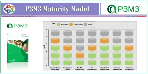 P3M3 Organization Maturity Self Assessment
