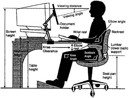 The Eco - Senior: Computer Workstation Ergonomics.