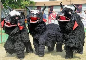 FOLK DANCES OF SIKKIM