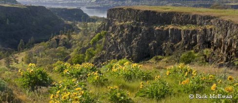 Scenic Drive, The Dalles, Oregon
