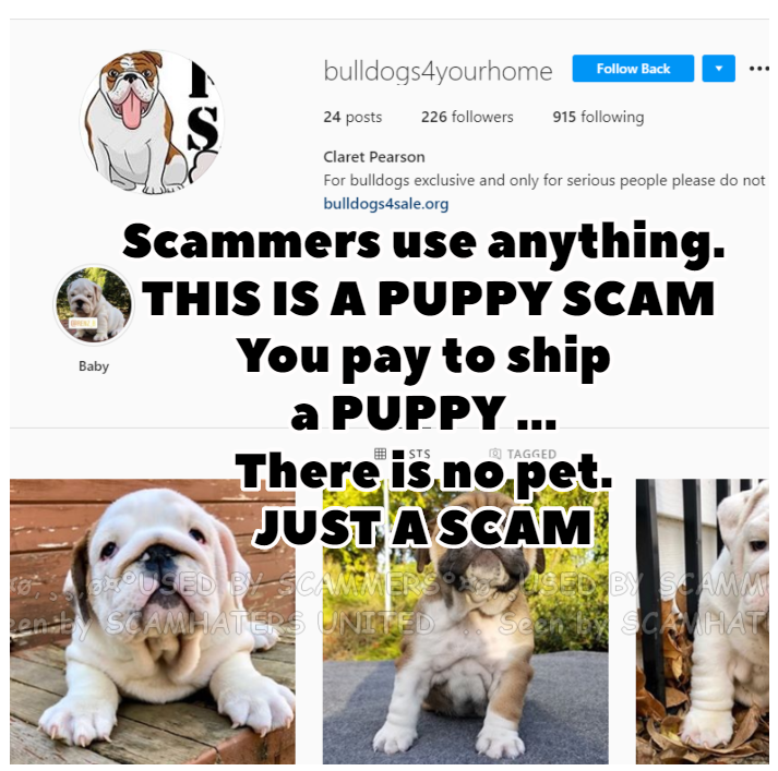 ScamHaters United .. Visit us also on Facebook and Instagram : Scammers ...