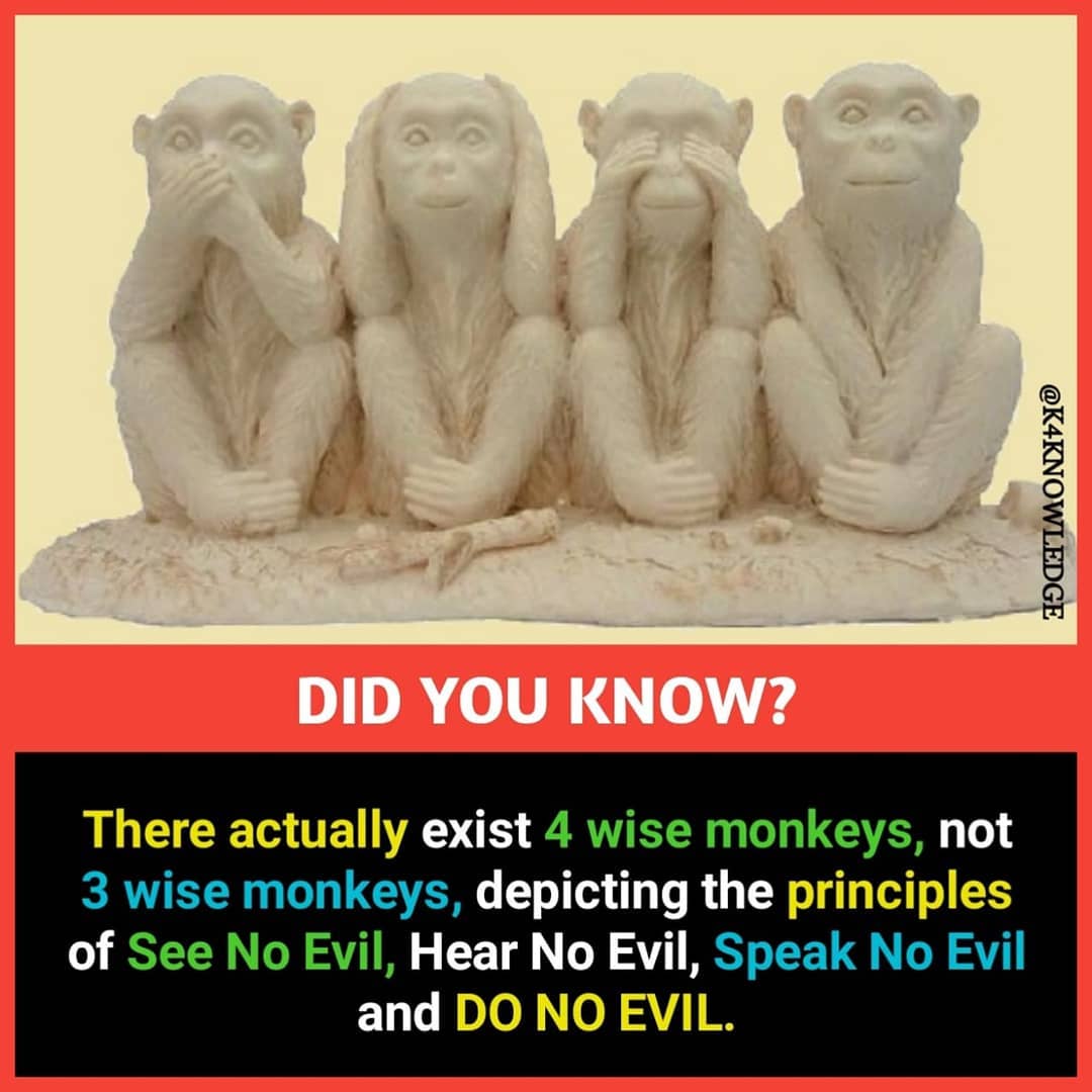 Do You Know Facts With Images Best Amazing Facts do-you-know-facts-with-images-best-amazing-facts