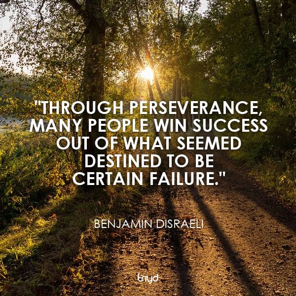 Benjamin Disraeli Quote: "Through perseverance, many people win success ...