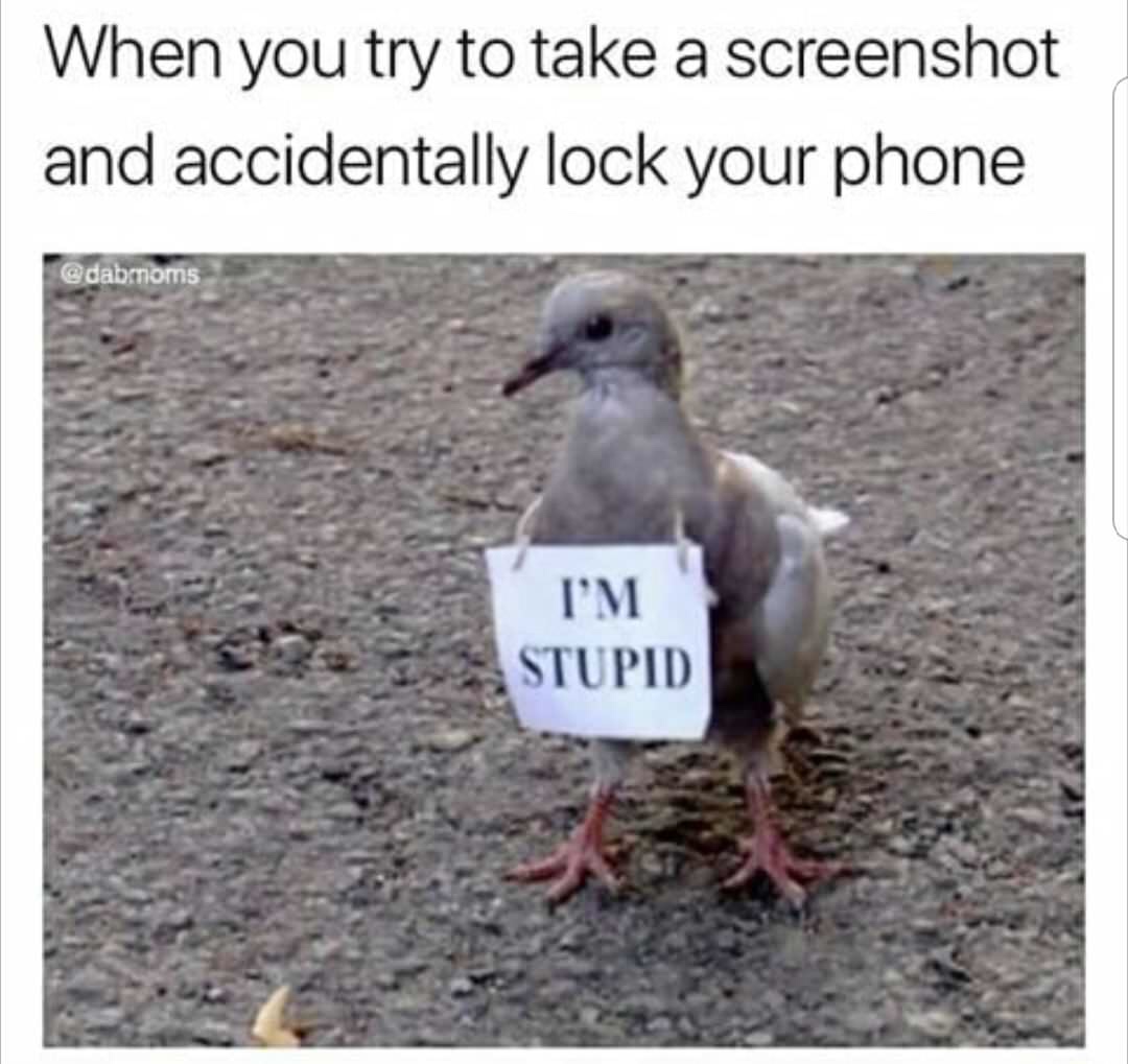 41 Random Memes Images To Blow Your Mind Today | 9GIG