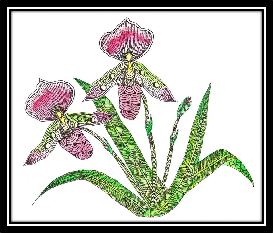 Journey Through Zentangle Art: Zentangle in colours