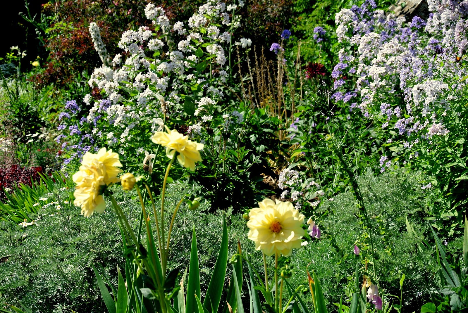 HAVETID: Engelske haver 4. del.