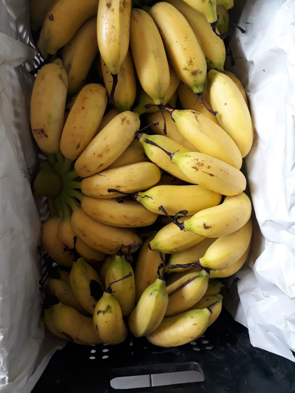 BLOG DO FABIO LOCUTOR: [INFORME PUBLICITÁRIO] Super Kilão onde você ...