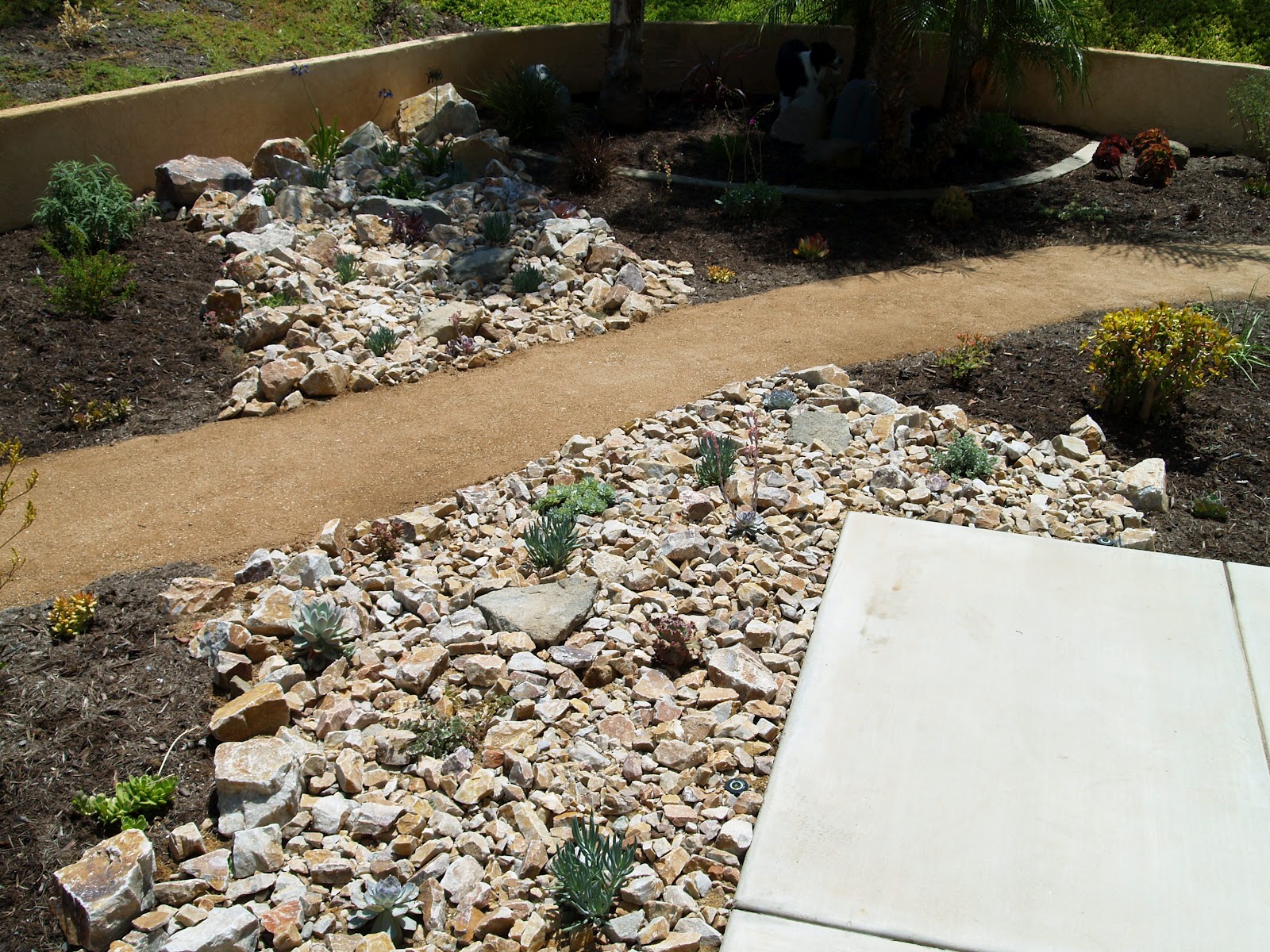 Hardscape vs Softscape in Landscaping