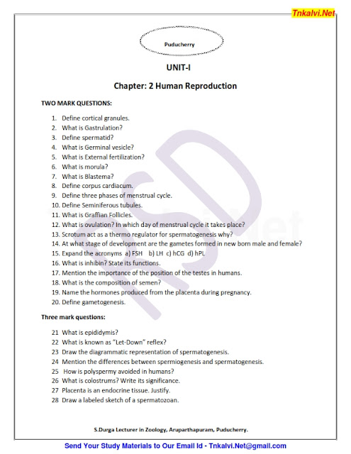 12th Standard - Biology Zoology - Chapter 2- Human reproduction ...