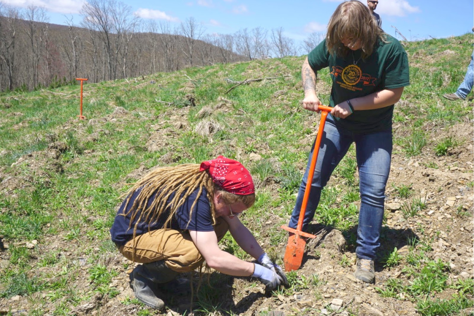 PA Environment Digest Blog: PEC Blog: Dirtying The Dibble Bars - Nearly ...