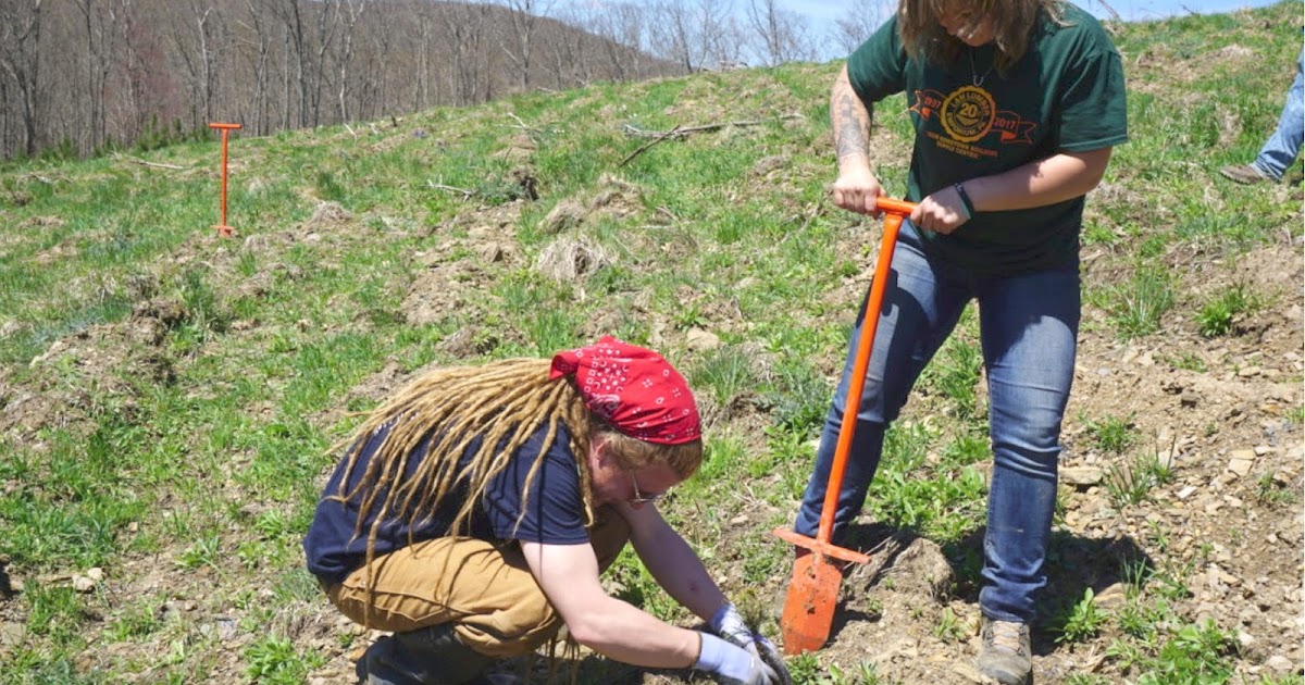 PA Environment Digest Blog: PEC Blog: Dirtying The Dibble Bars - Nearly ...