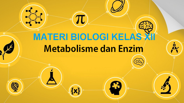 MATERI BIOLOGI KELAS XII BAB II A.METABOLISME DAN ENZIM - KOMPAS BELAJAR
