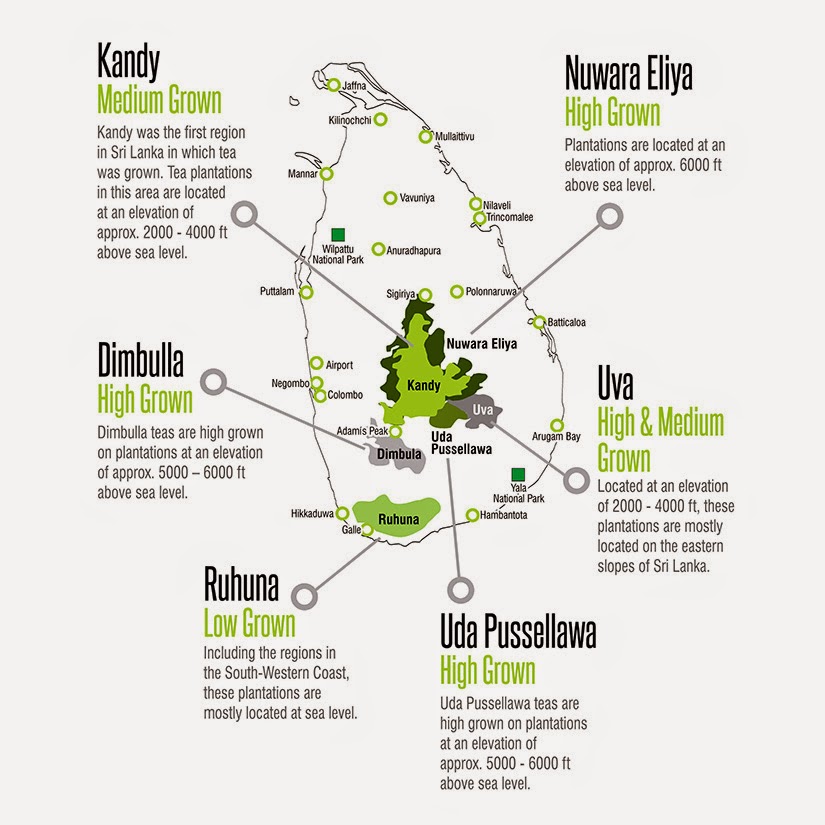Select Sri Lanka: Ceylon Tea History
