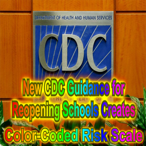 Big Education Ape: New CDC Guidance for Reopening Schools Creates Color ...