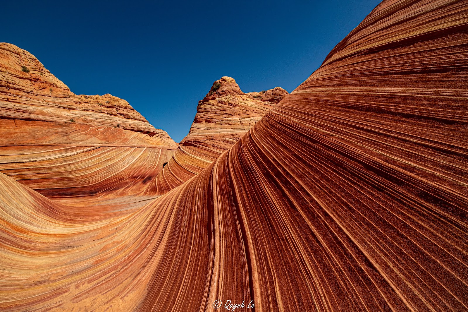 Shutterbugs Capturing the World Around Us: The Wave. Kanab, Utah.