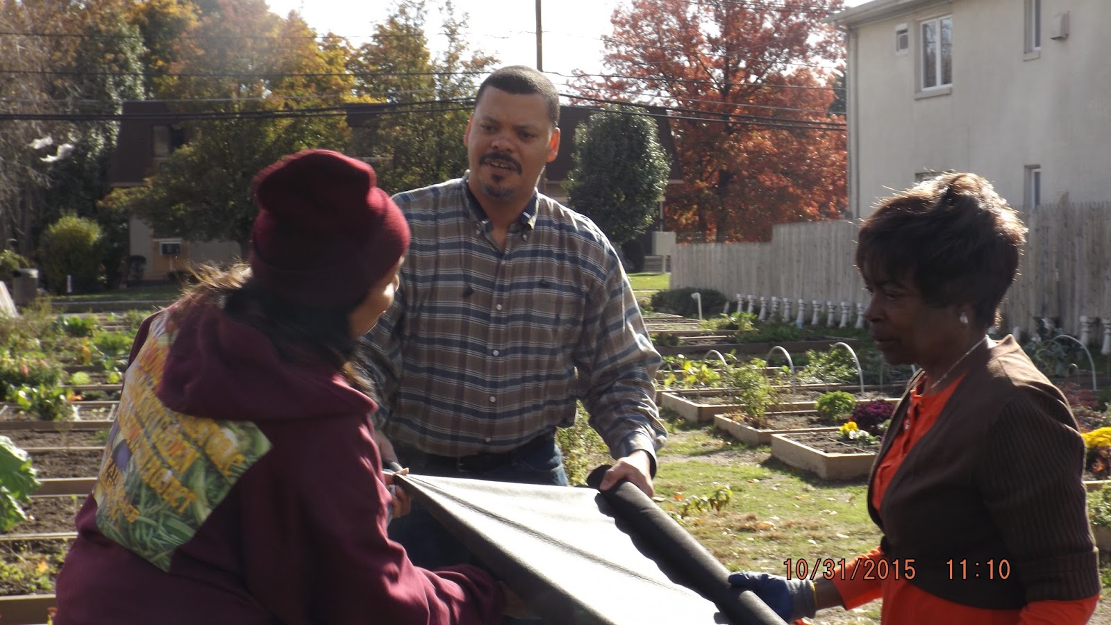 Grow Your Own: Suburban Gardening: 2-3-4, Open the Door