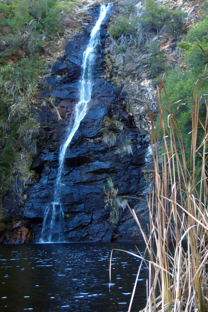 camshootu3asa: Waterfall Gully - the fascination of the water (John)