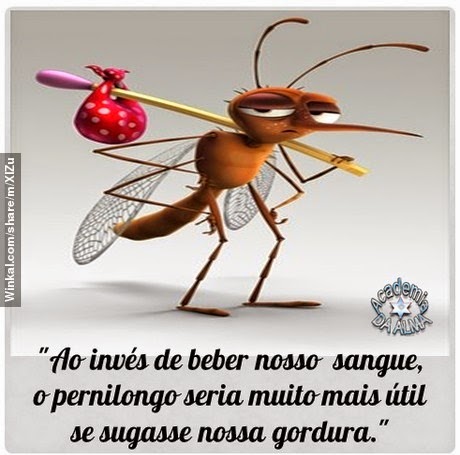 BIBOCA AMBIENTAL : NO MUNDO DOS INSETOS, PARA QUE SERVE O PERNILONGO?