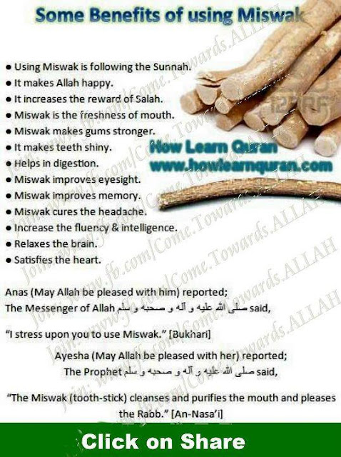 Benefits Of Using Miswak Image ~ amditechnology