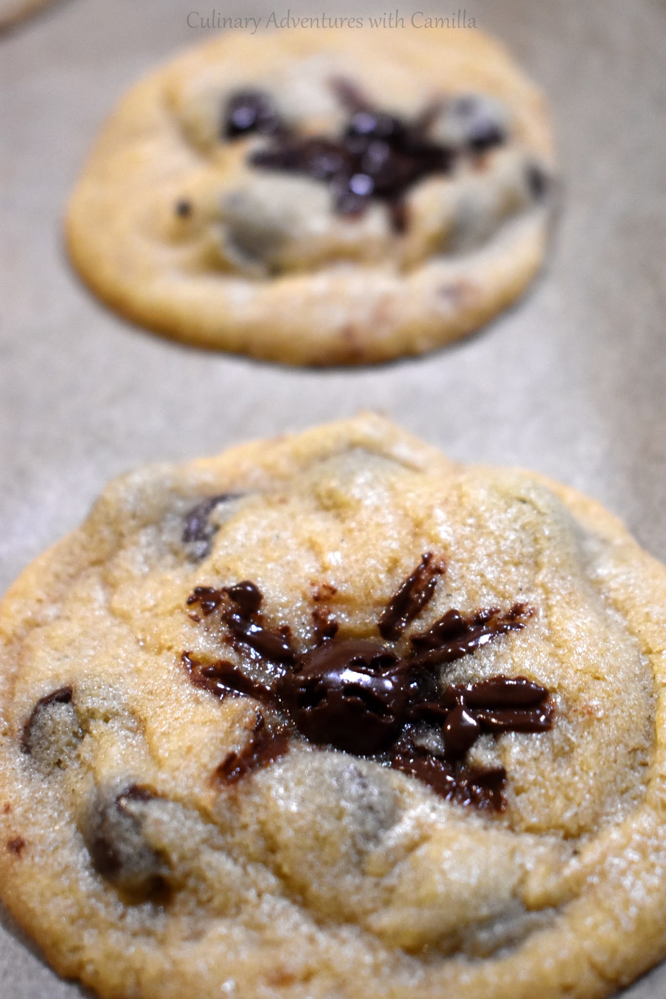 Creepy, Crawly Chocolate Chip Cookies #HalloweenEats