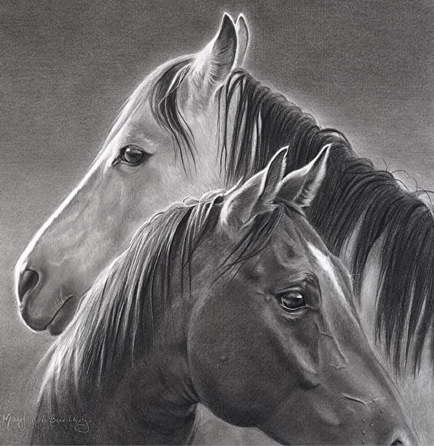 Arte y Actividad Cultural: Dibujos de Caballos Realismo Extremo a Lápiz Ross Mary Buchholz
