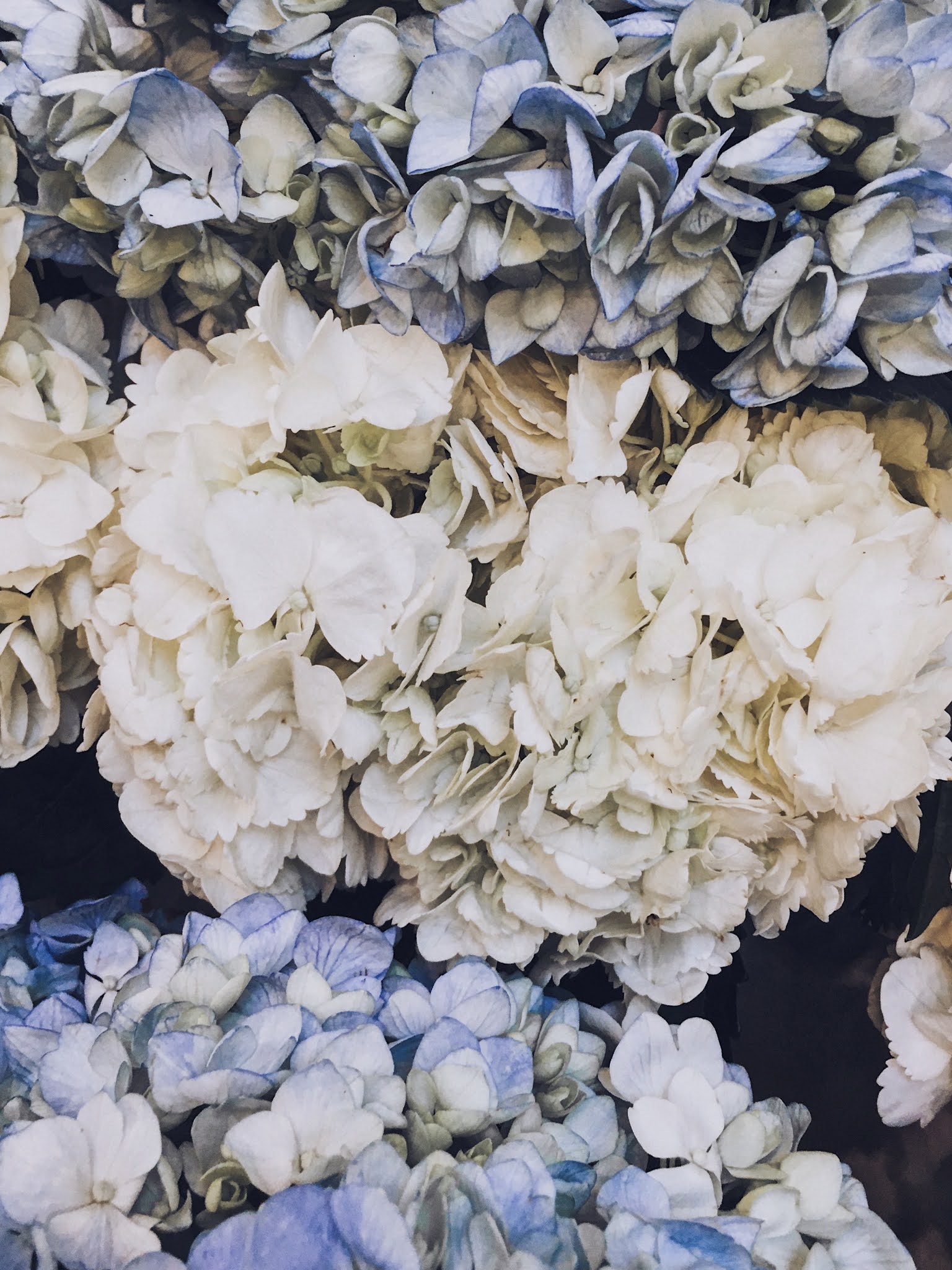 Hannah Claudia : Becoming a Hopeful Realist